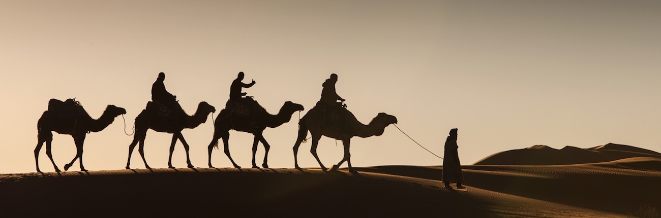 Momento - United Arab Emirates, Oman & Qatar - DMC Collection